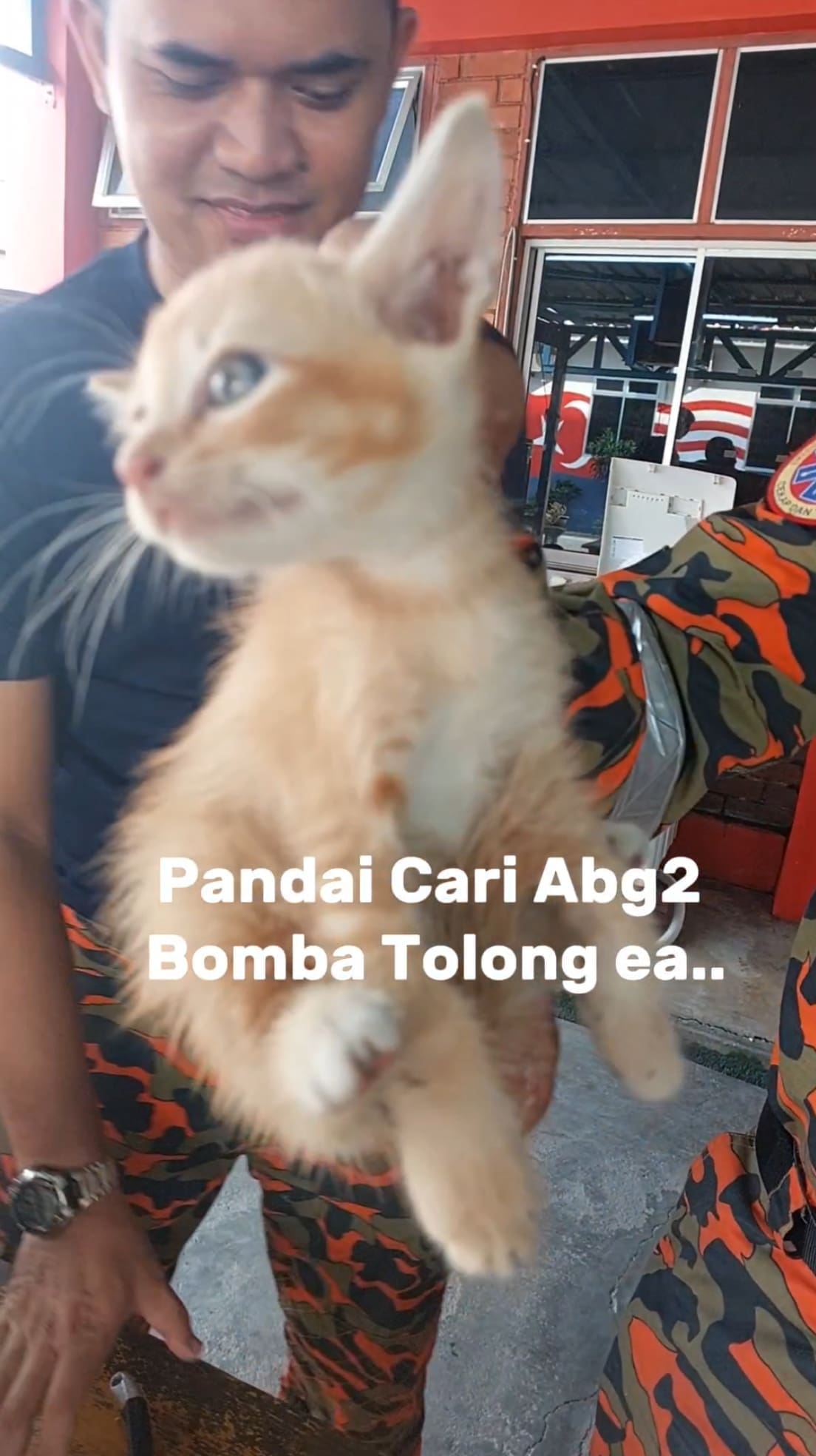 M’sian Firefighters Rescue Oyen With Head Stuck In Metal Ring & It ...